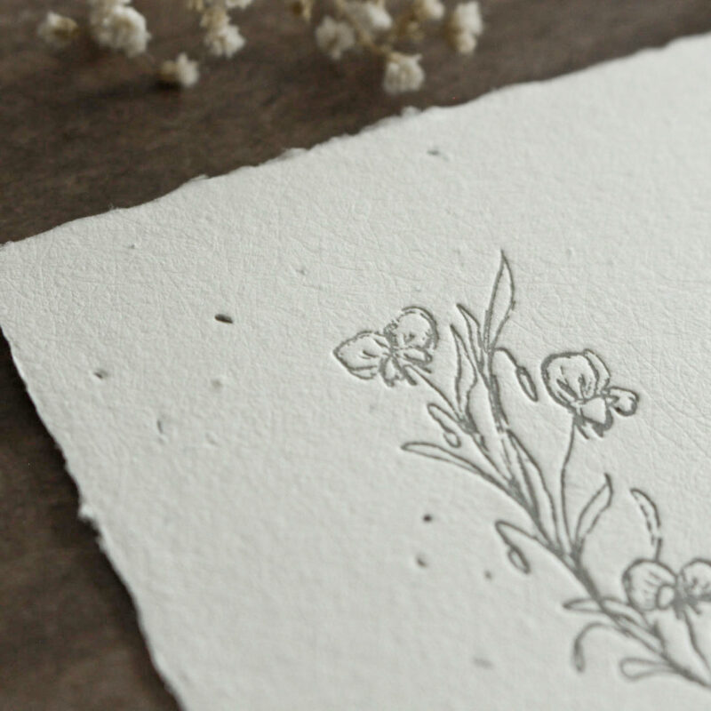 Samenkarte "Tausend Dank" - Eine ganz besondere Dankeskarte ...